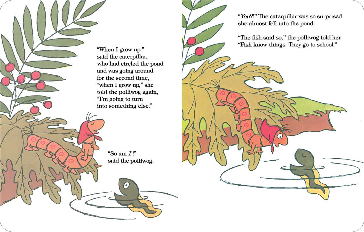 Caterpillar and the Polliwog by Jack Kent: Board Books