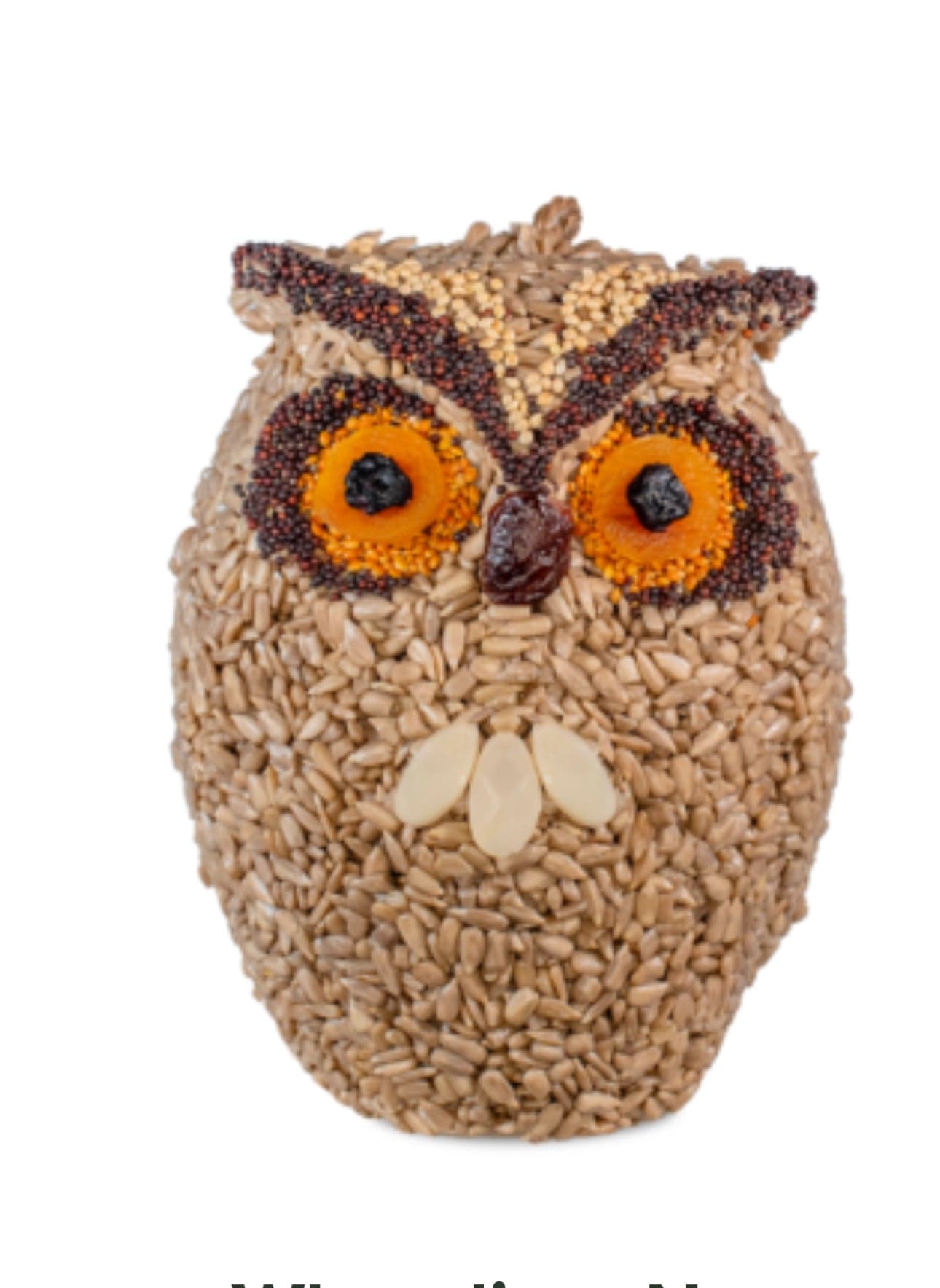 Mr. Bird Whoo-lio The Owl Birdseed Hanger